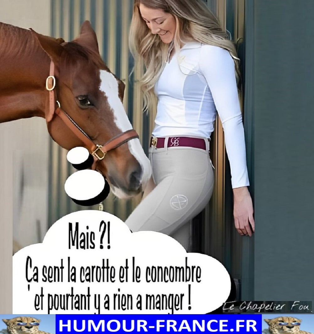 Mais ! Ça sent la carotte et le concombre et pourtant il n’y a rien à