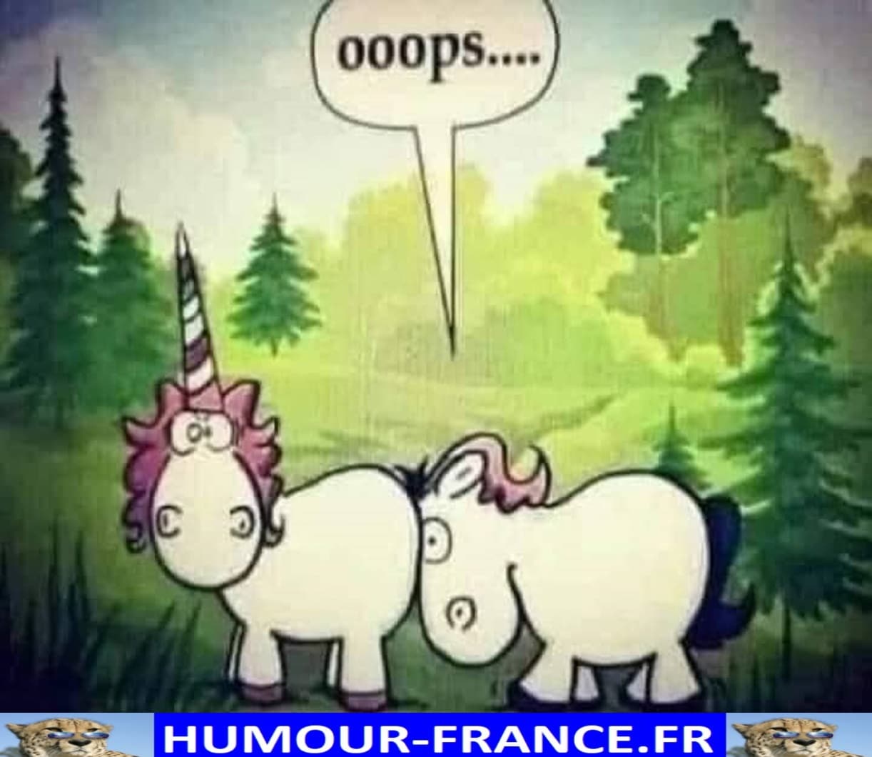 Petit accident. - Humour-France.fr