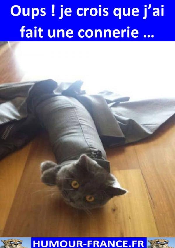 Oups ! je crois que j’ai fait une connerie … - Humour-France.fr