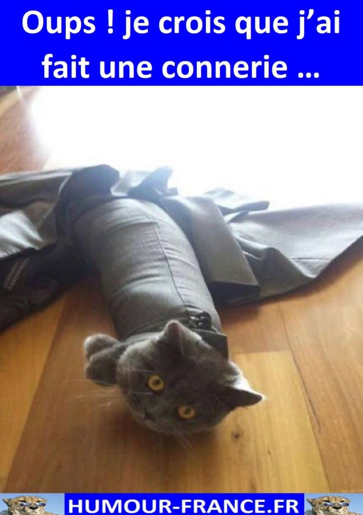 Oups ! je crois que j’ai fait une connerie … - Humour-France.fr