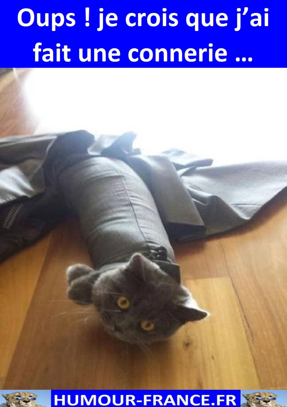 Oups ! je crois que j’ai fait une connerie … - Humour-France.fr