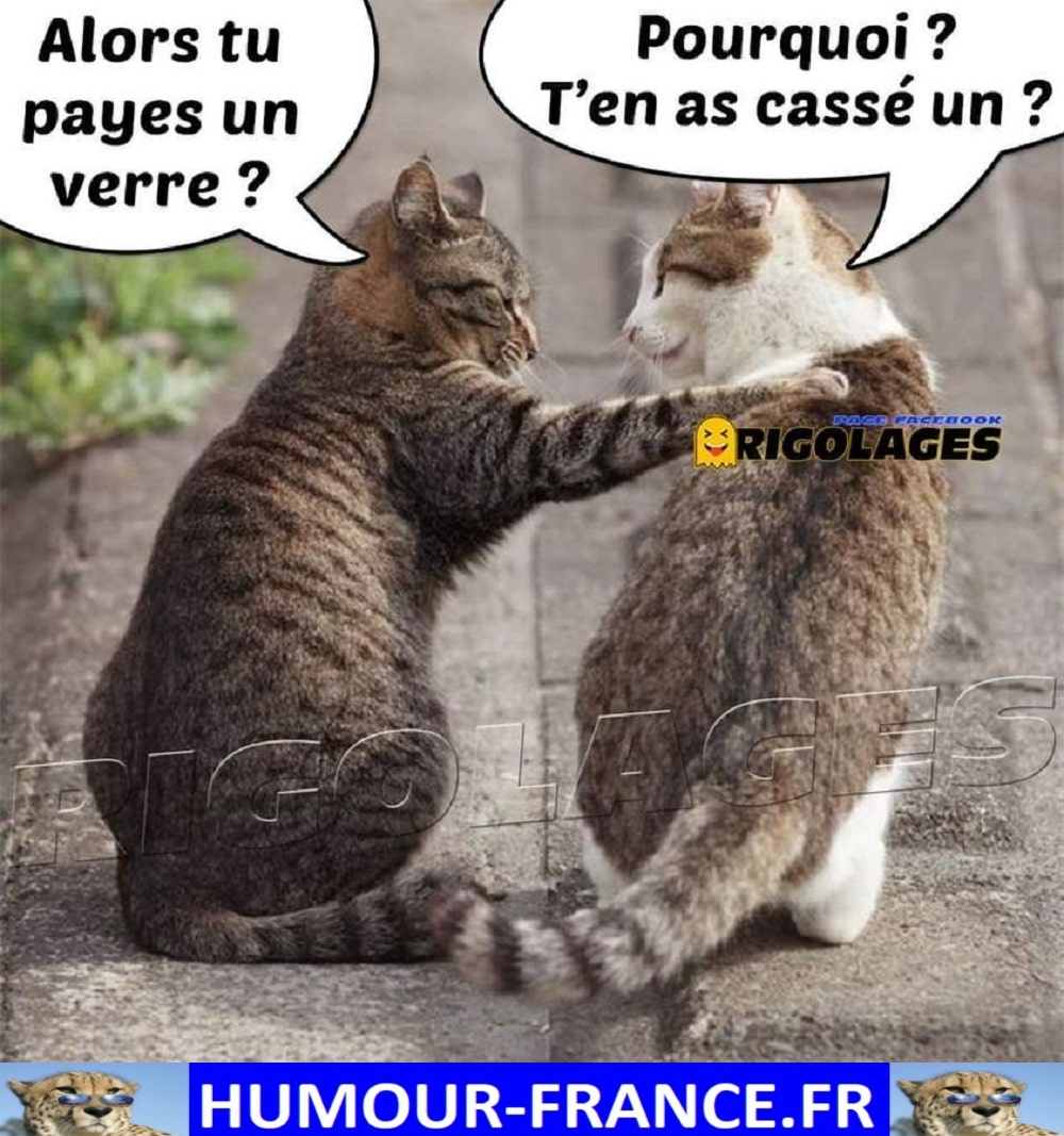 Alors tu payes un verre ? - Humour-France.fr