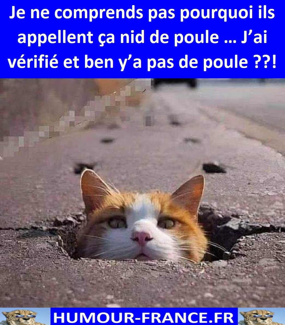Je ne comprends pas pourquoi ils appellent ça nid de poule … J’ai