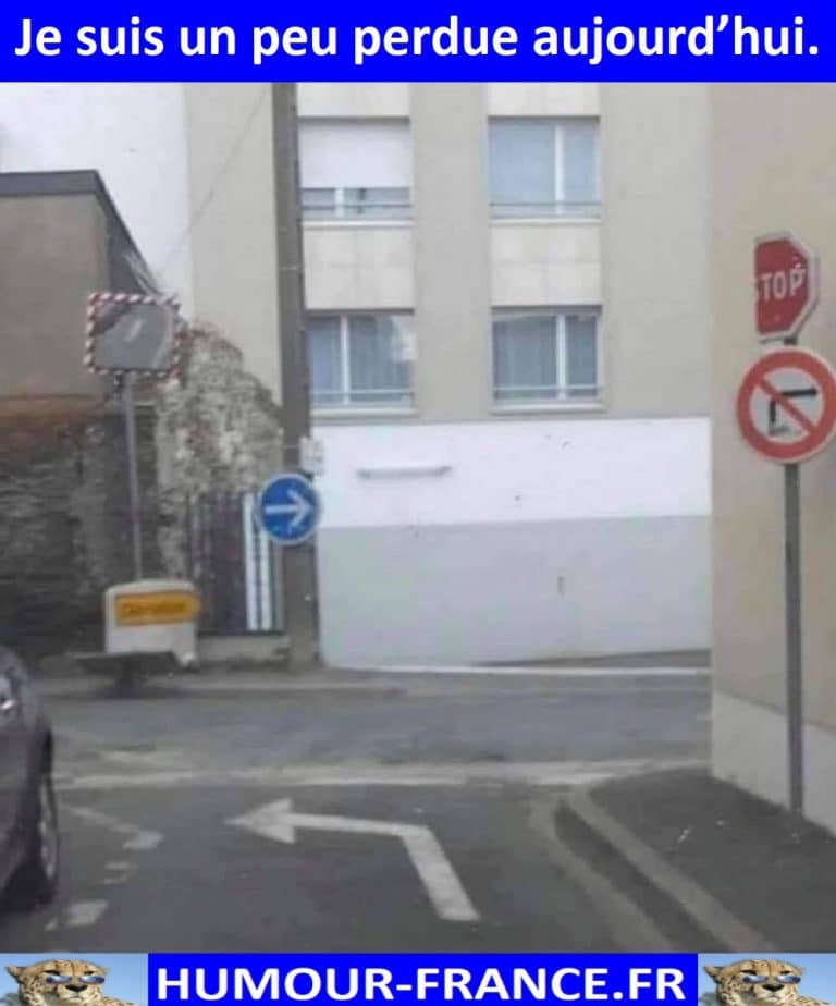 Je suis un peu perdue aujourd’hui. - Humour-France.fr