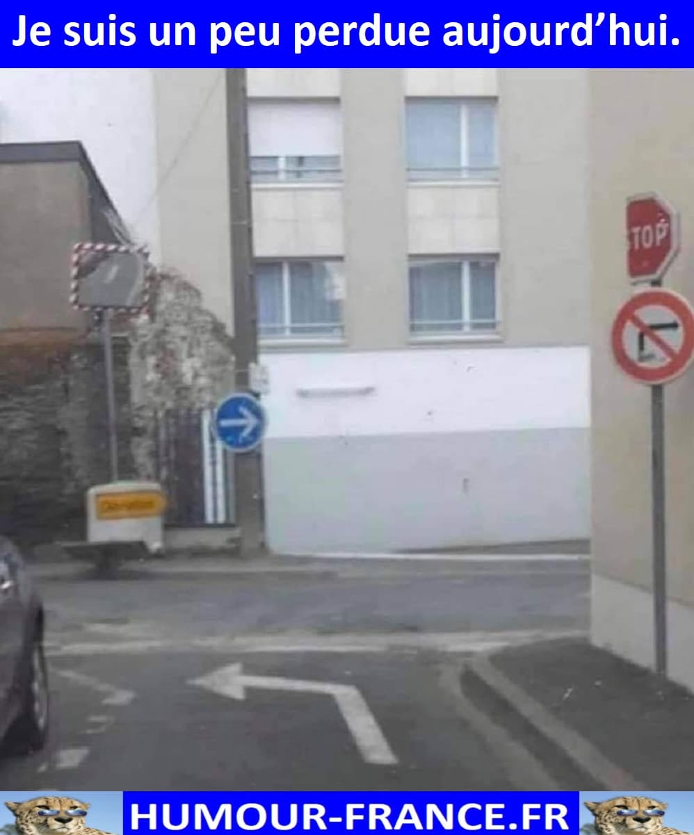 Je suis un peu perdue aujourd’hui. - Humour-France.fr