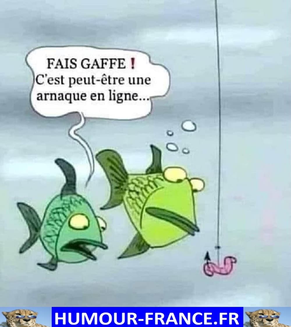 Fais gaffe ! C’est peut-être une arnaque en ligne … - Humour-France.fr