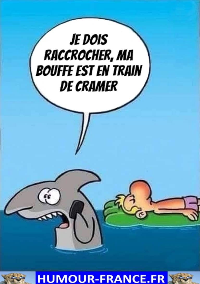 Je dois raccrocher, ma bouffe est en train de cramer. - Humour-France.fr