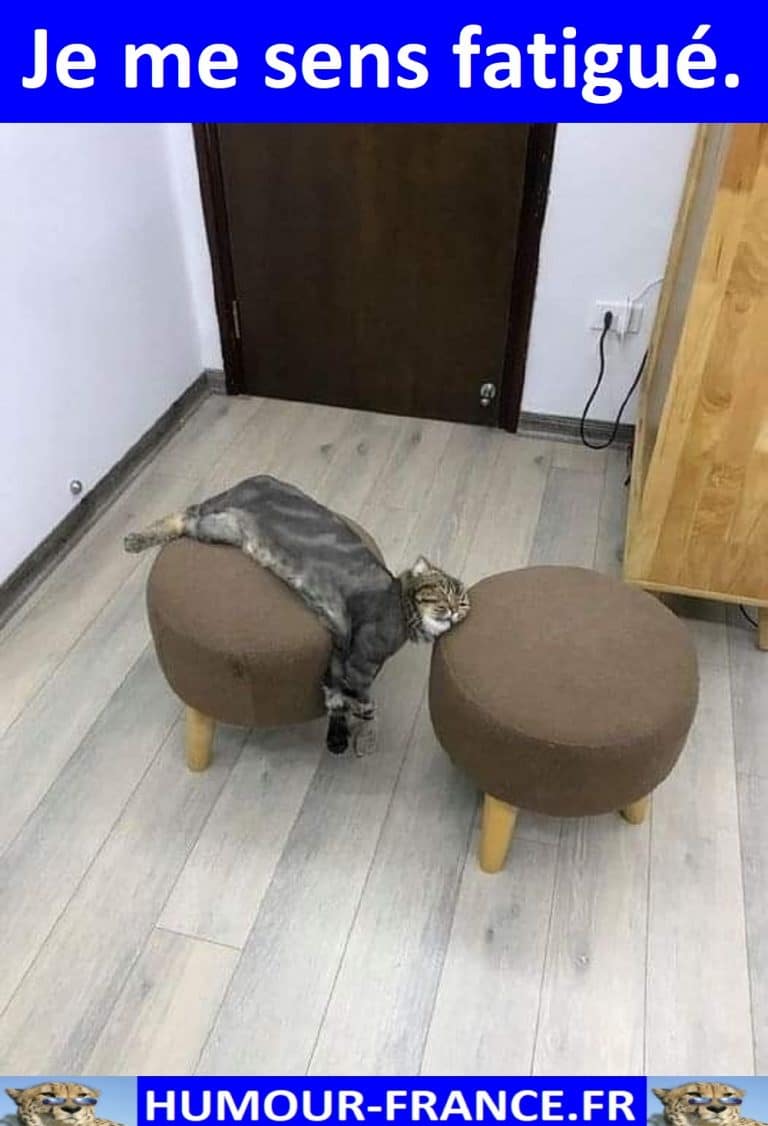 Je me sens fatigué. - Humour-France.fr