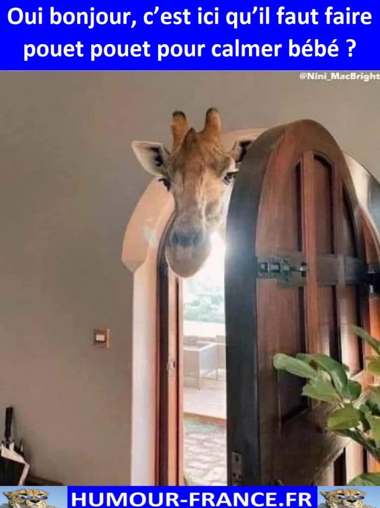 Oui bonjour, c’est ici qu’il faut faire pouet pouet pour calmer bébé ...
