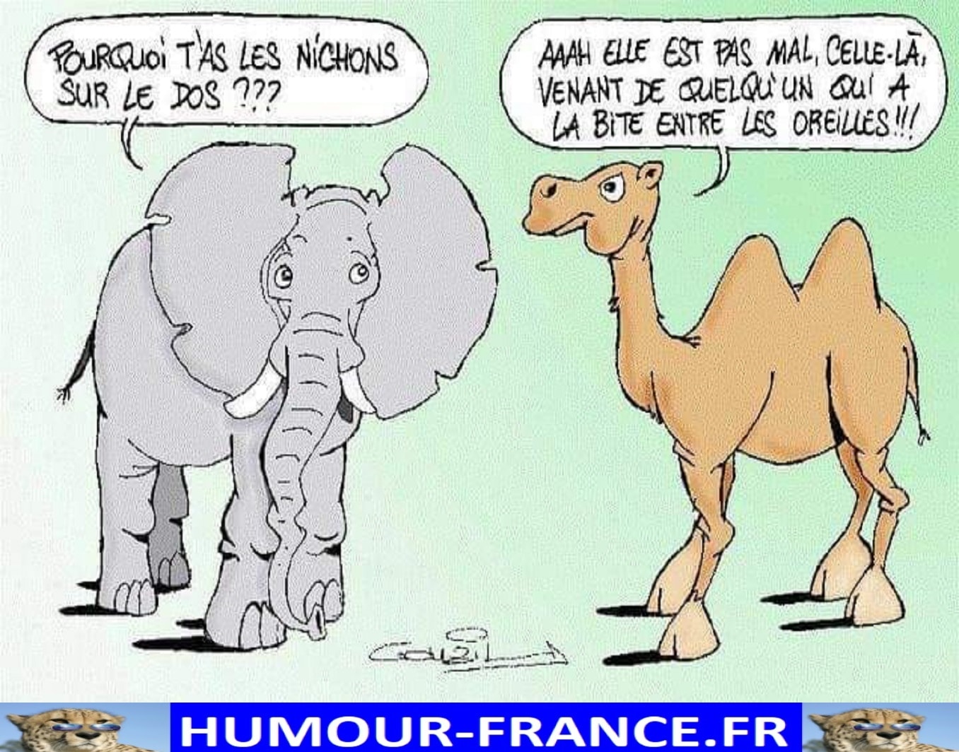 Pourquoi tu as les nichons sur le dos ??? - Humour-France.fr