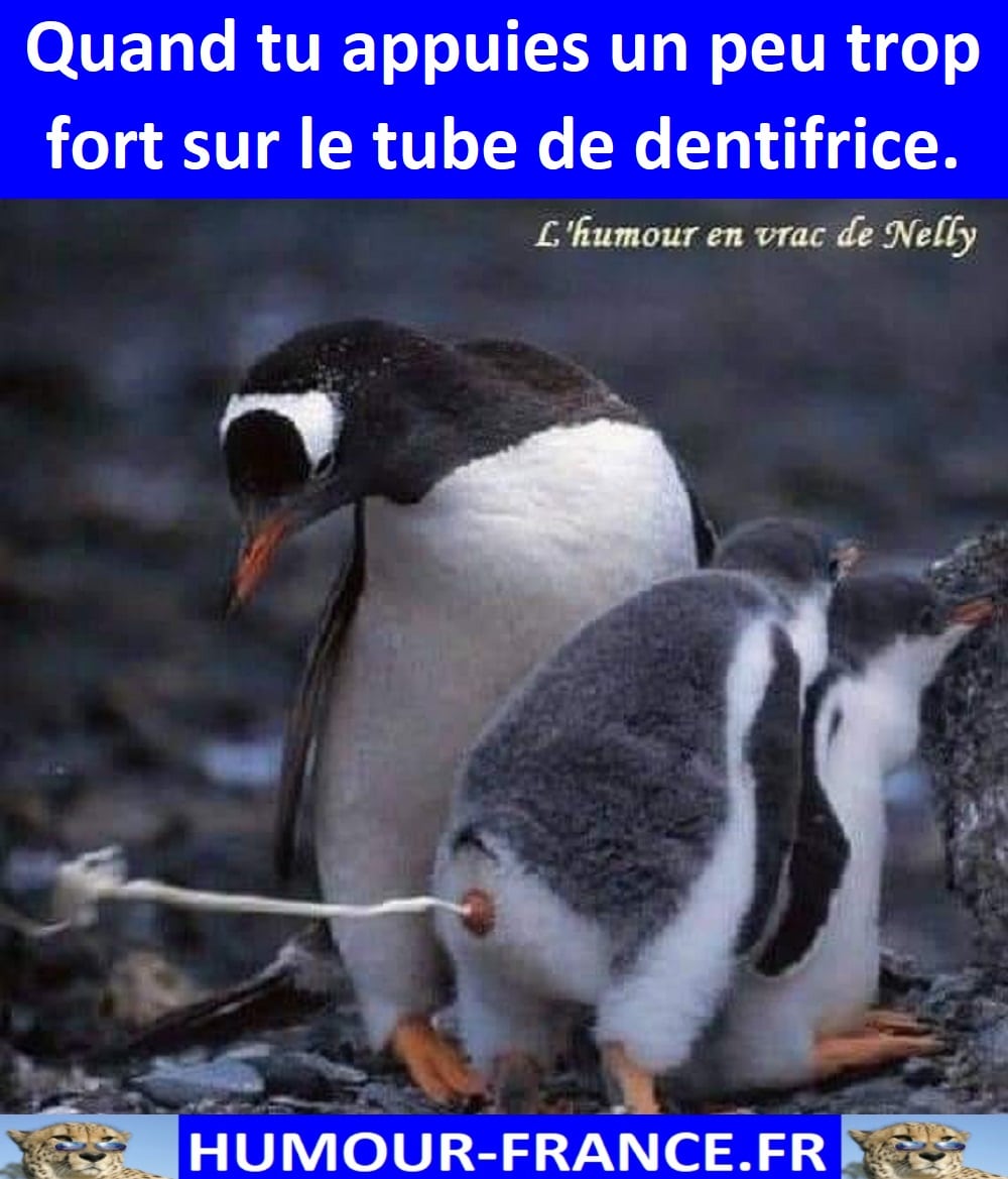 Quand tu appuies un peu trop fort sur le tube de dentifrice. - Humour ...