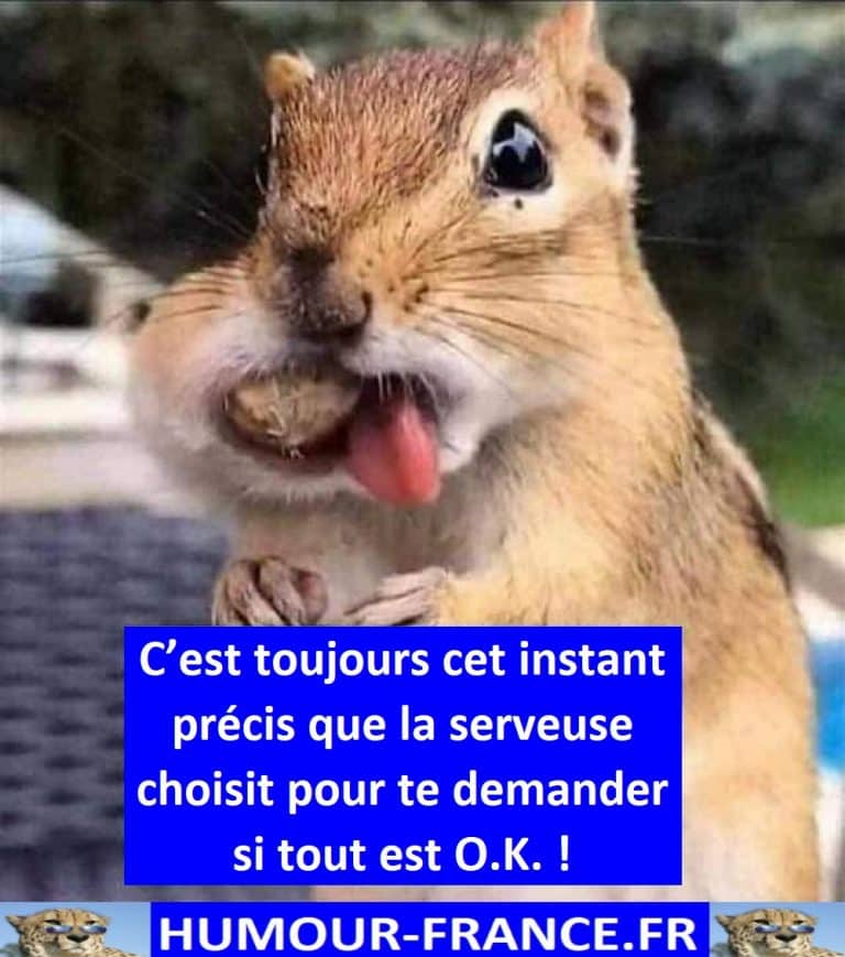 C’est toujours cet instant précis que la serveuse choisit pour te