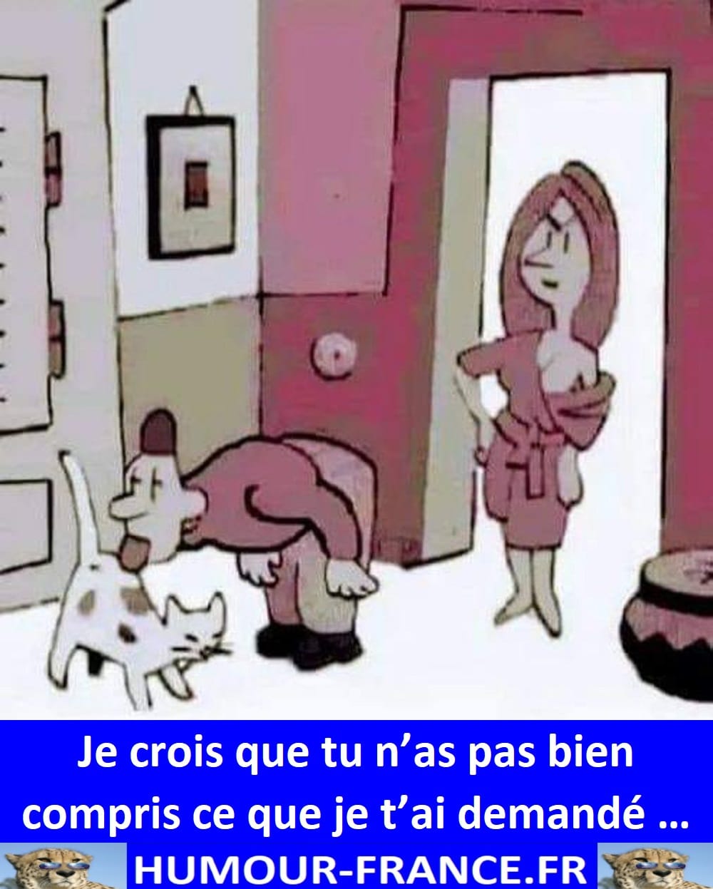 Je crois que tu n’as pas bien compris ce que je t’ai demandé … - Humour ...