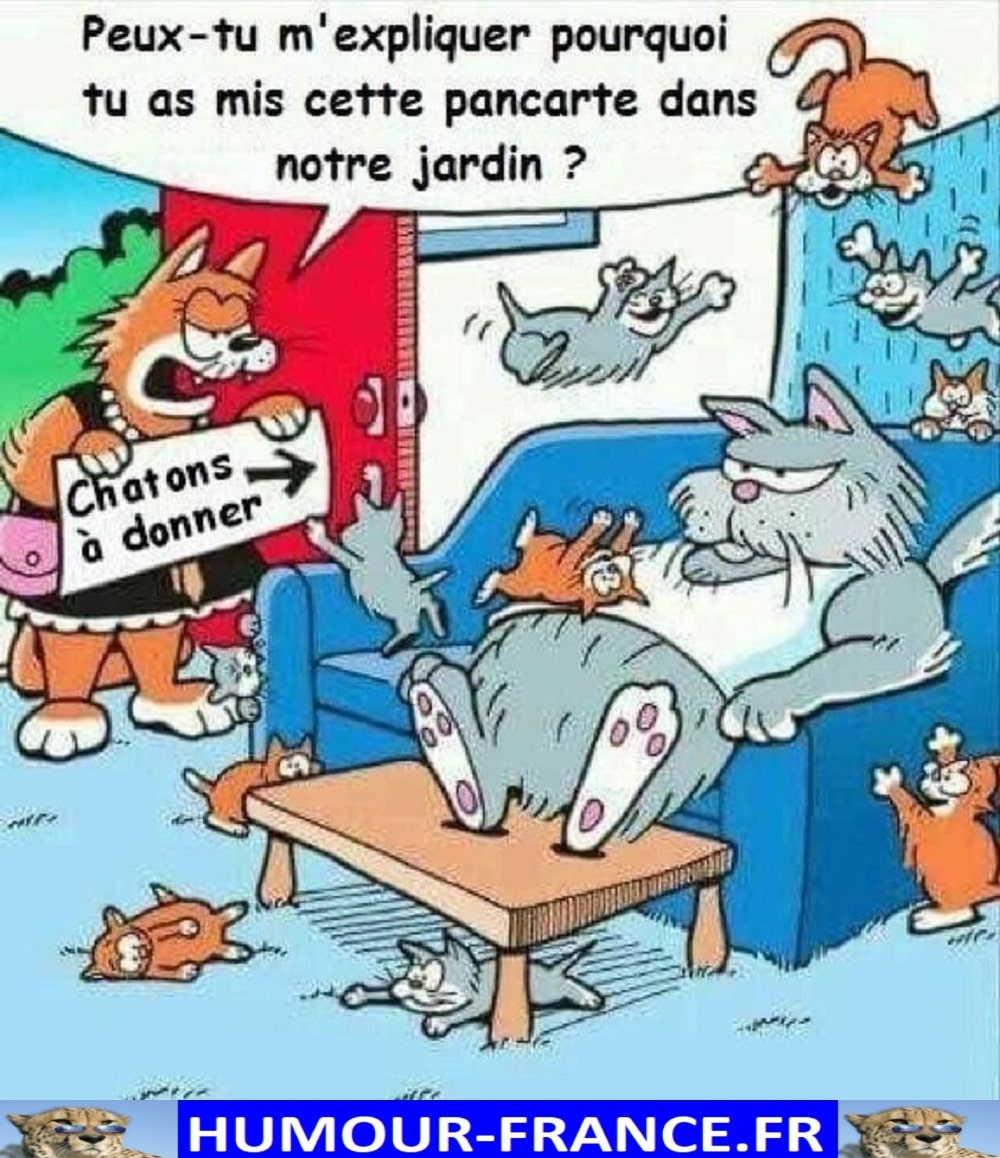 Peux-tu m’expliquer pourquoi tu as mis cette pancarte dans notre