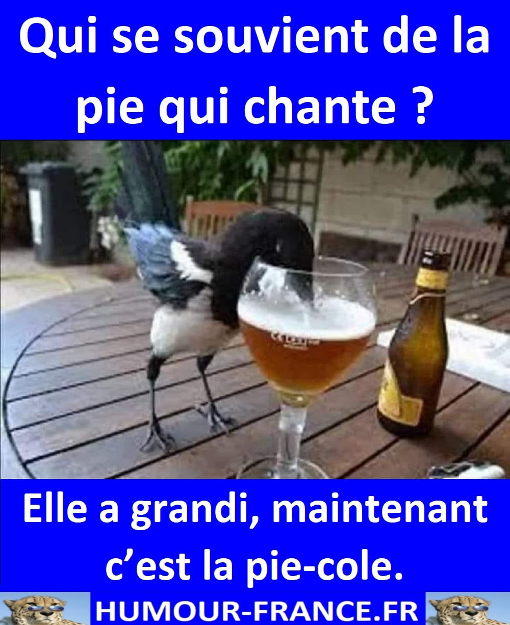 Qui se souvient de la pie qui chante ? - Humour-France.fr