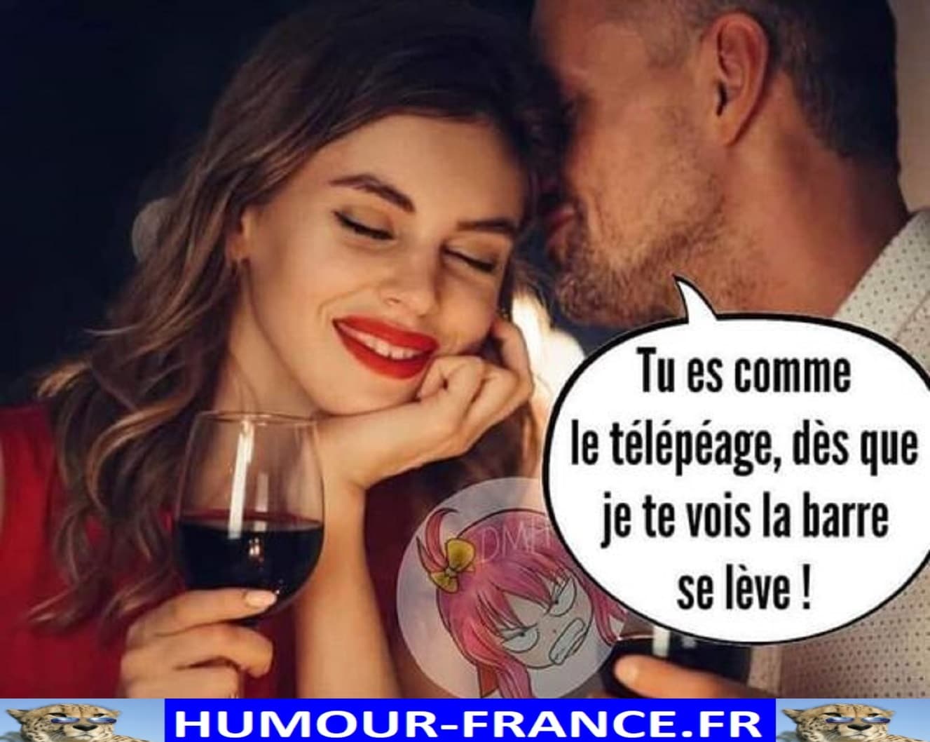 Tu es comme le télépéage, dès que je te vois la barre se lève ! - Humour-France.fr