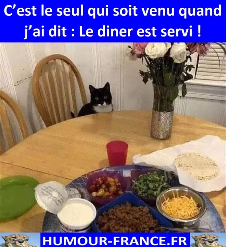 C’est le seul qui soit venu quand j’ai dit : Le diner est servi ...