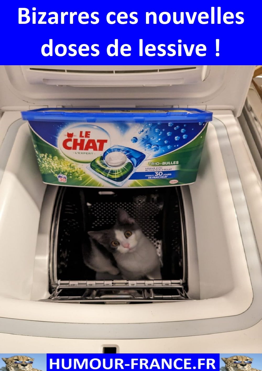 Bizarres ces nouvelles doses de lessive ! - Humour-France.fr