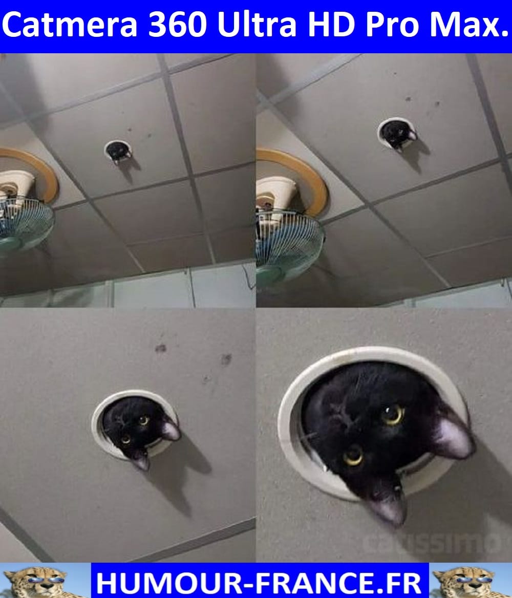 Catmera 360 Ultra HD Pro Max. - Humour-France.fr