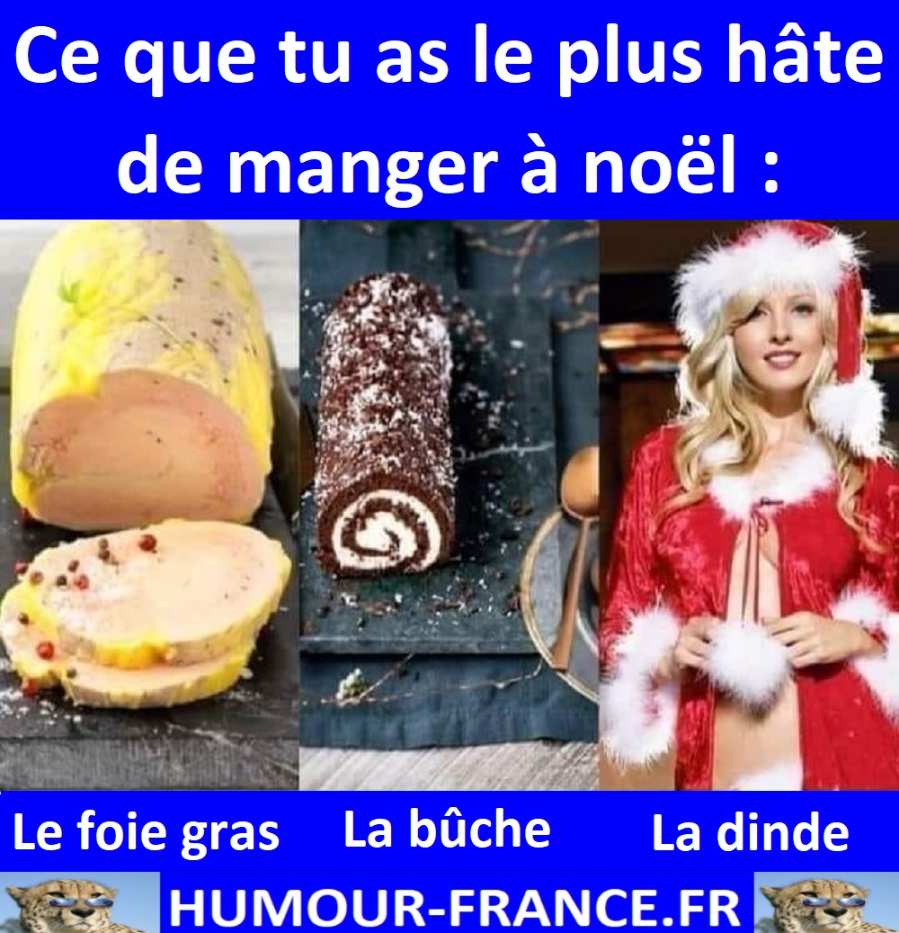 Ce que tu as le plus hâte de manger à noël : - Humour-France.fr