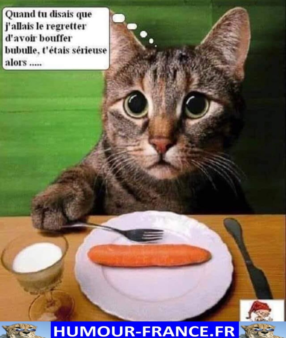 Quand tu disais que j’allais le regretter d’avoir bouffer bubulle,