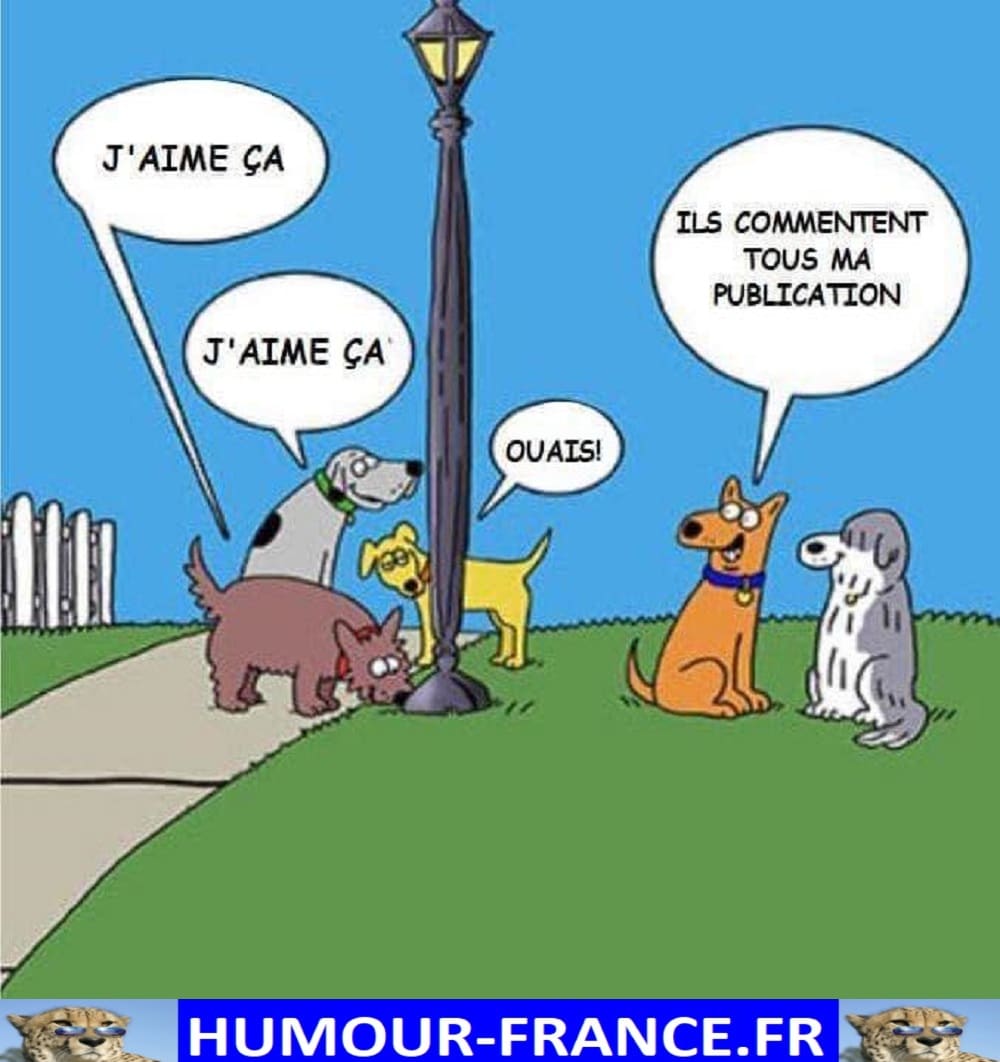Ils commentent tous ma publication. - Humour-France.fr
