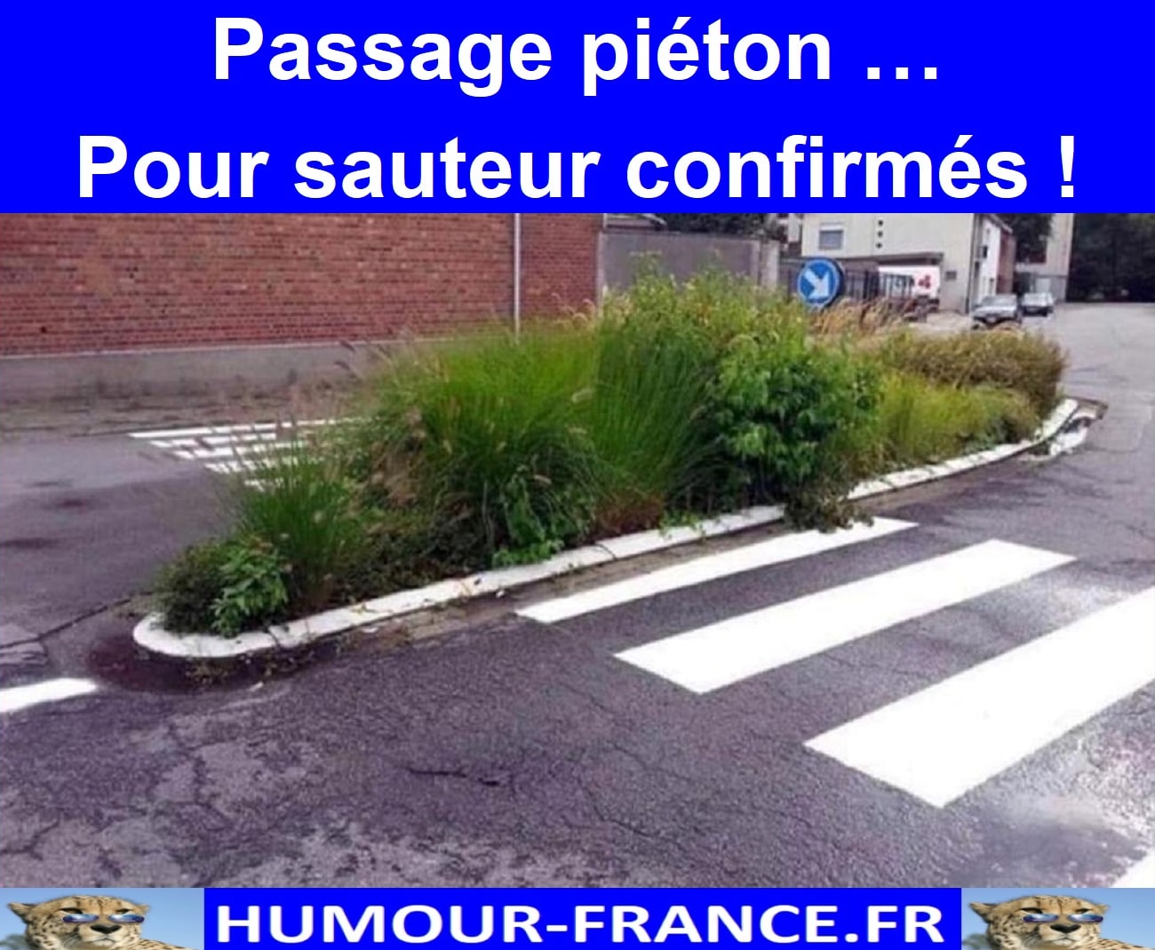 Passage piéton … Pour sauteur confirmés ! - Humour-France.fr