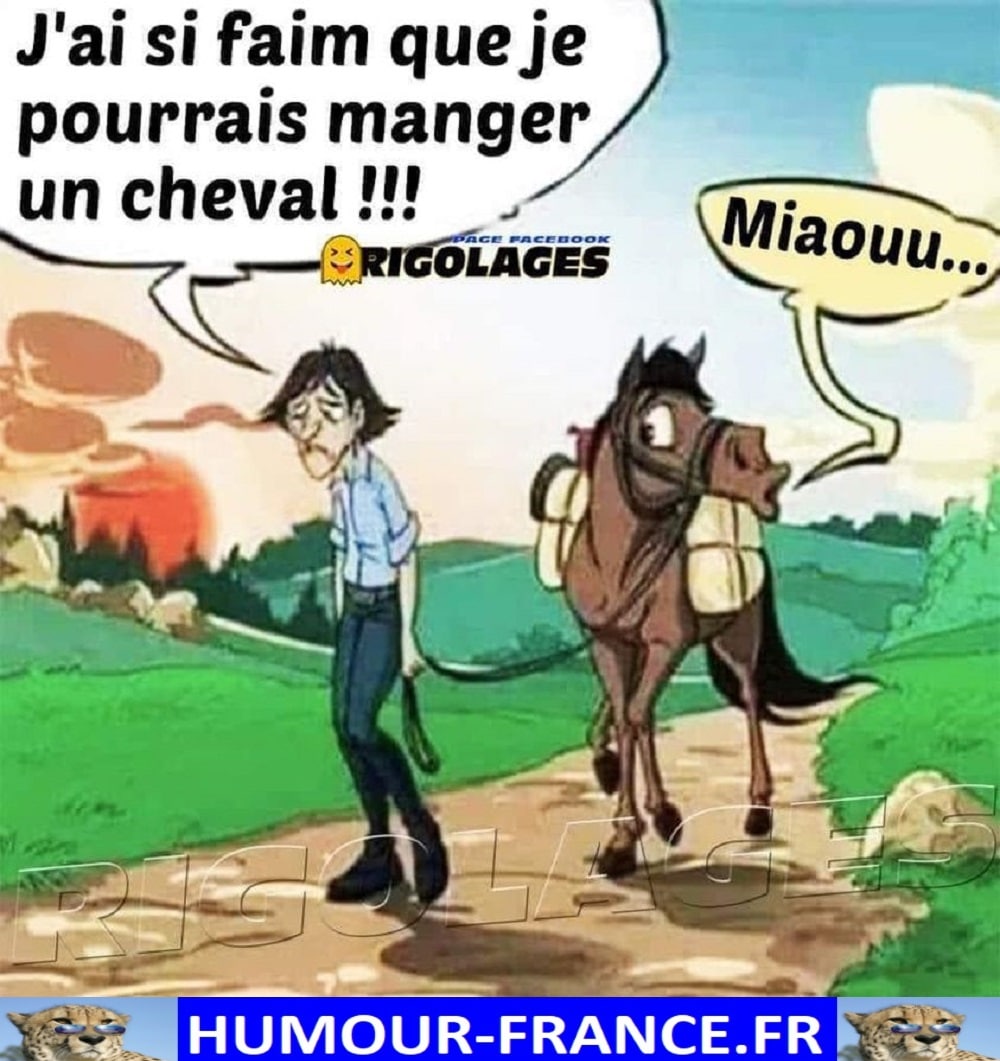 J’ai si faim que je pourrais manger un cheval !!! - Humour-France.fr