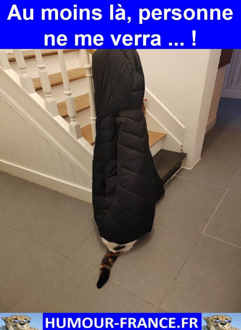 Au moins là, personne ne me verra … ! - Humour-France.fr