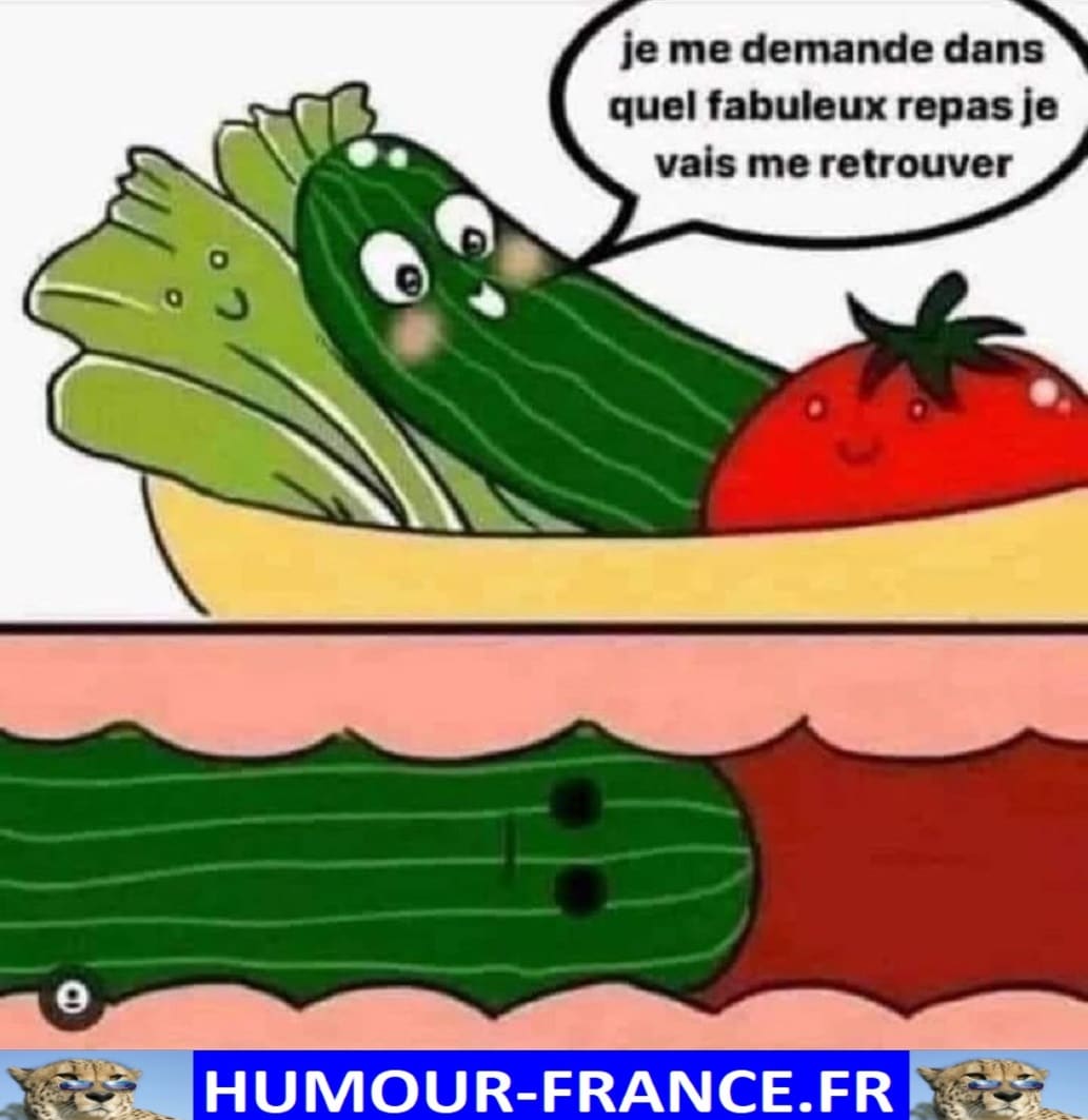 Je me demande dans quel fabuleux repas je vais me retrouver. - Humour ...