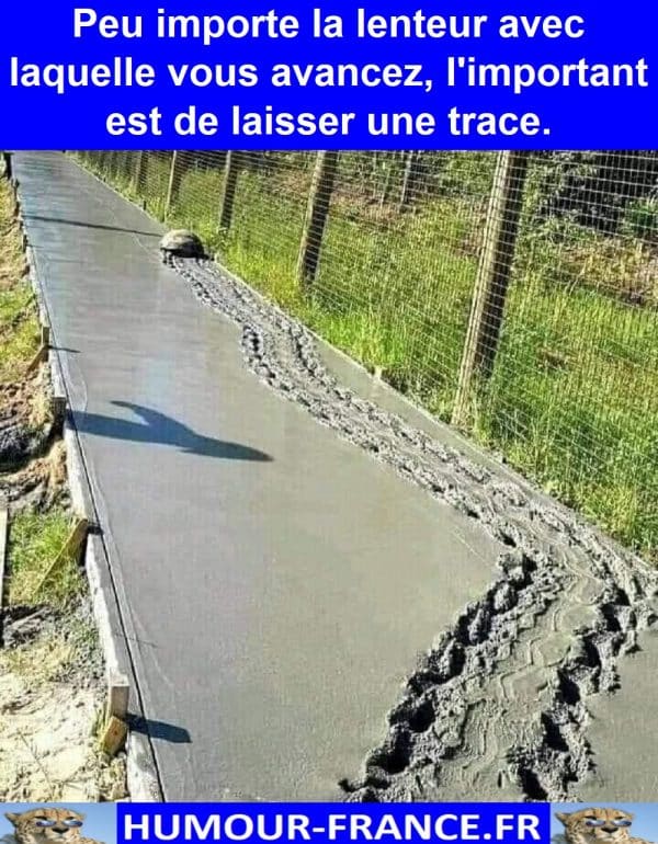 Humour Archives - Humour-France.fr