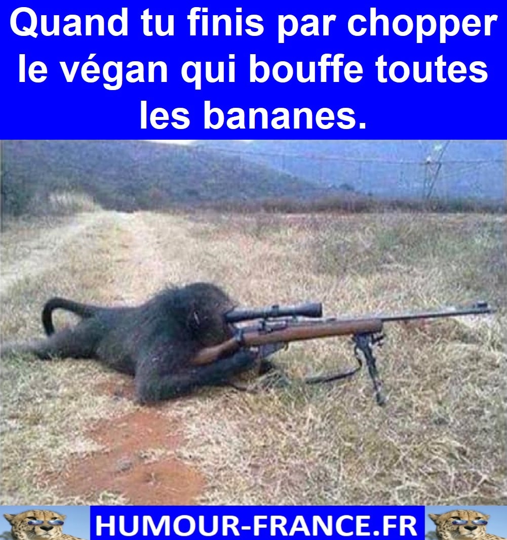 Quand tu finis par chopper le végan qui bouffe toutes les bananes ...