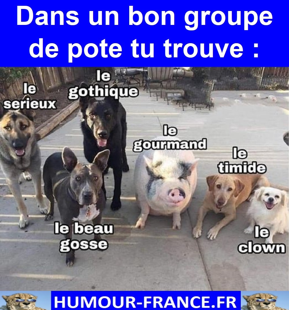 Dans un bon groupe de pote tu trouve : - Humour-France.fr