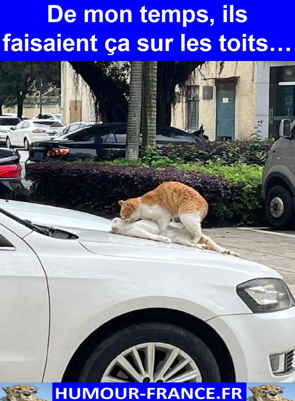 De mon temps, ils faisaient ça sur les toits… - Humour-France.fr
