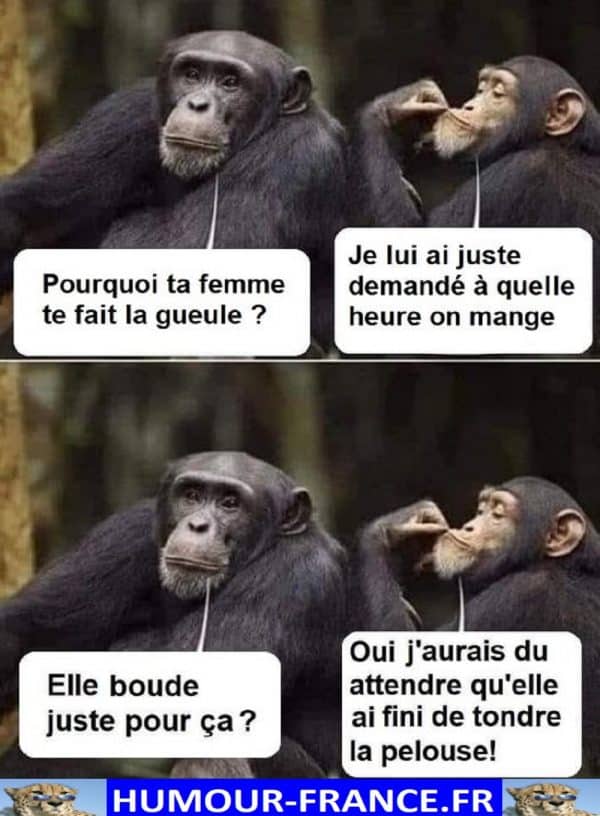 Pourquoi ta femme te fait la gueule ? - Humour-France.fr