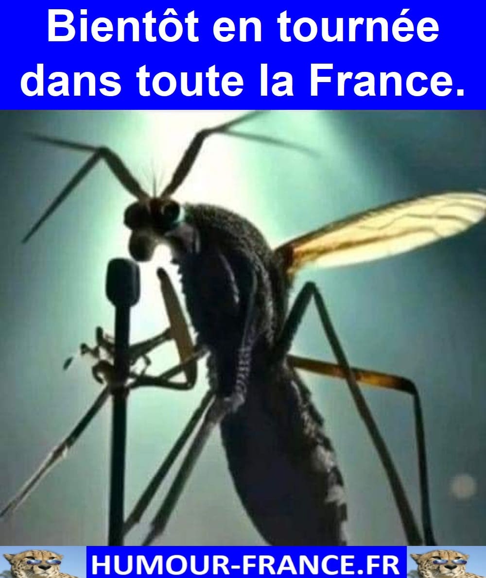 Bientôt en tournée dans toute la France. - Humour-France.fr