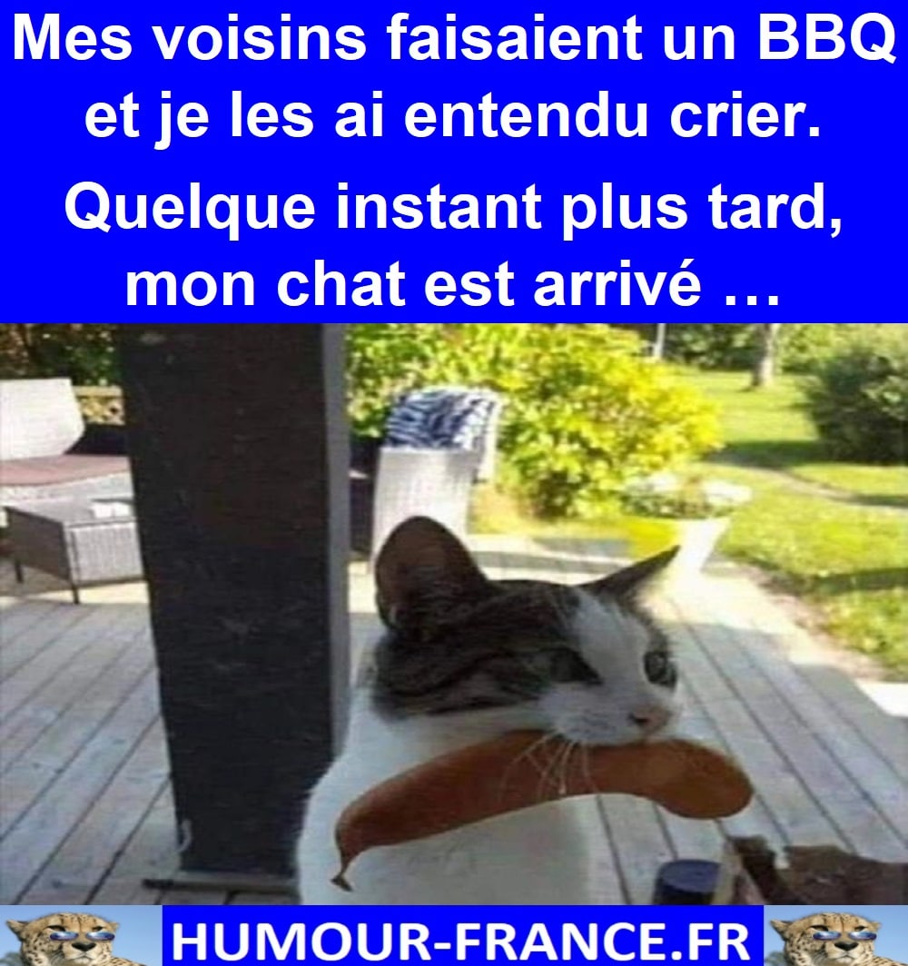 Mes voisins faisaient un BBQ et je les ai entendu crier. Quelque