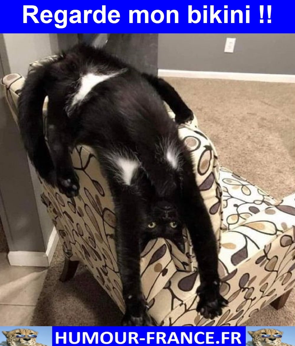 Regarde mon bikini !! - Humour-France.fr