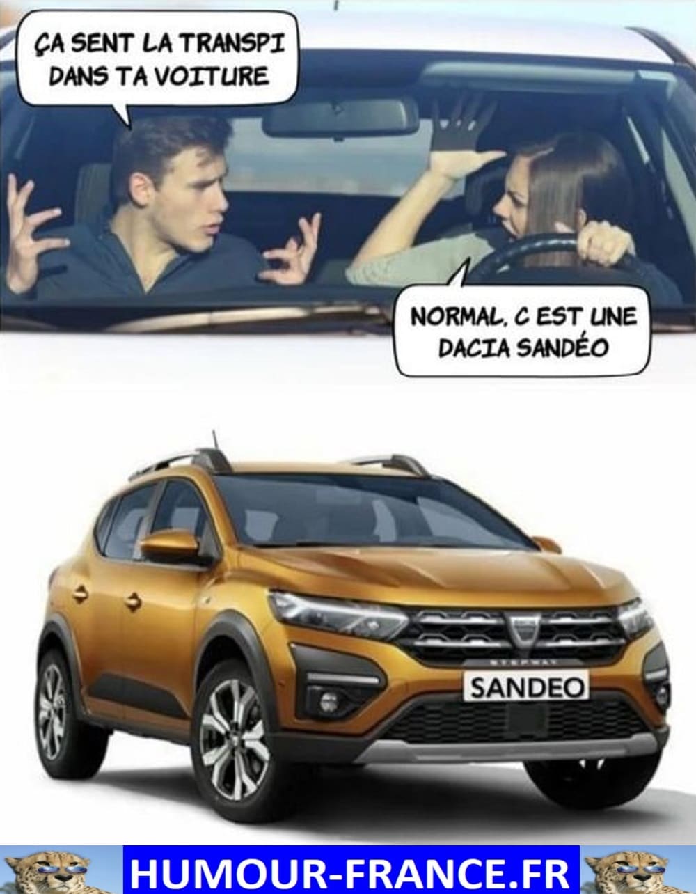 Ça sent la transpi dans ta voiture. - Humour-France.fr