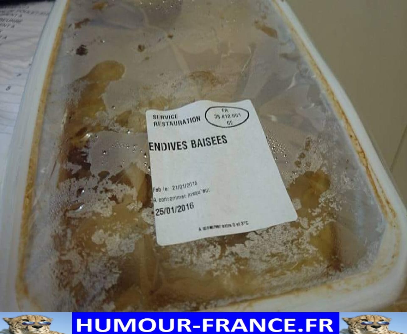 Endives baisées. - Humour-France.fr