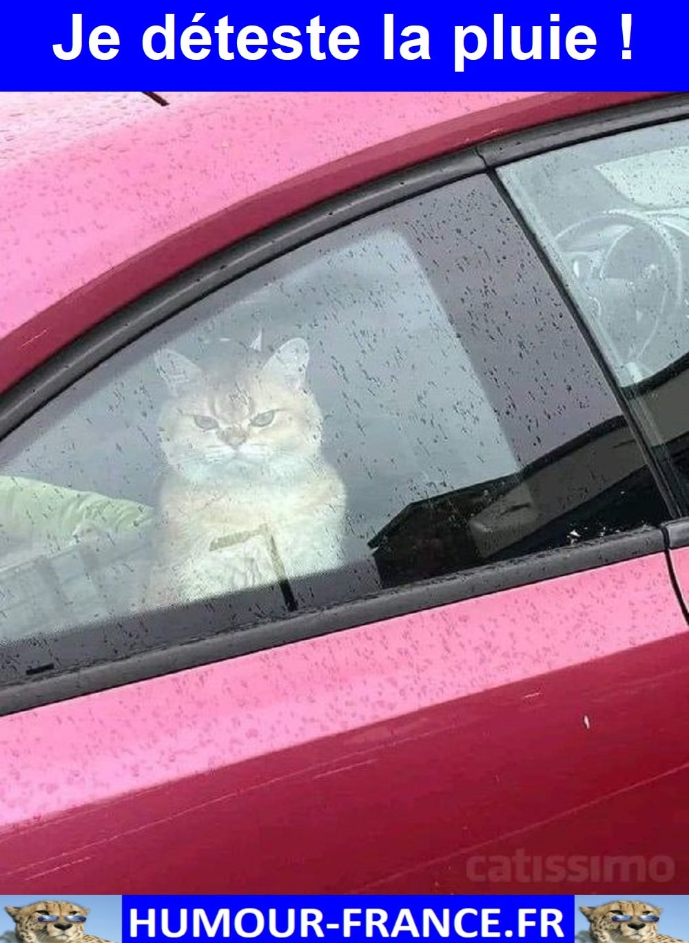 Je déteste la pluie ! - Humour-France.fr