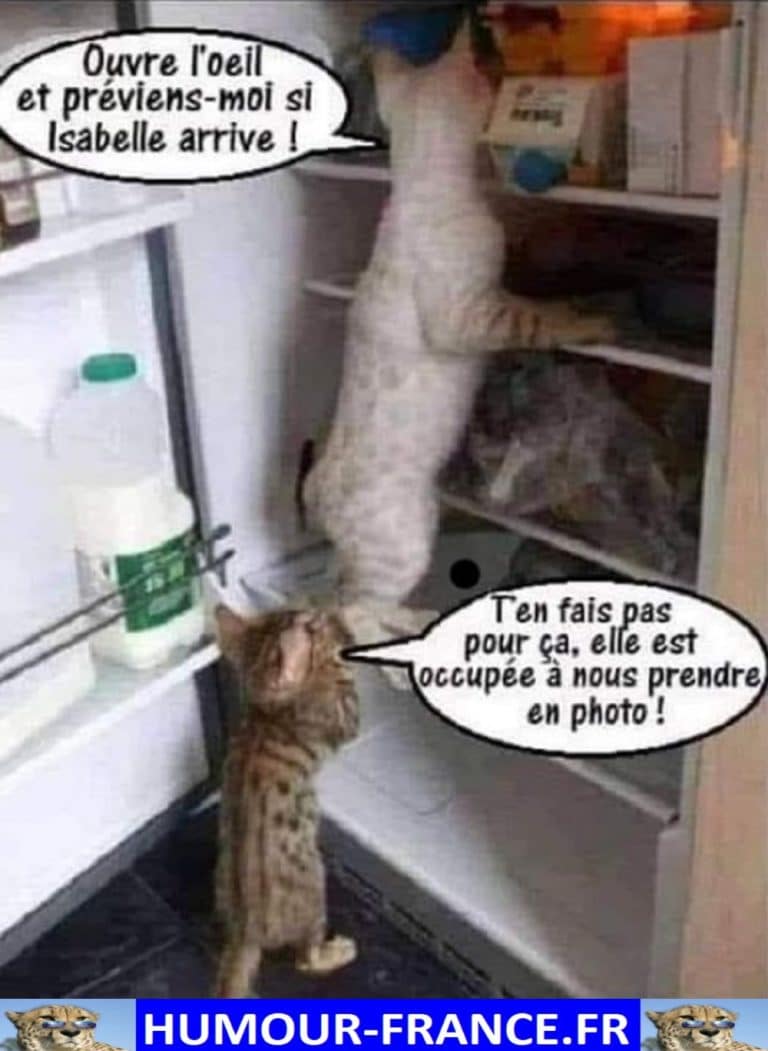 Ouvre l’œil et préviens-moi si Isabelle arrive ! - Humour-France.fr