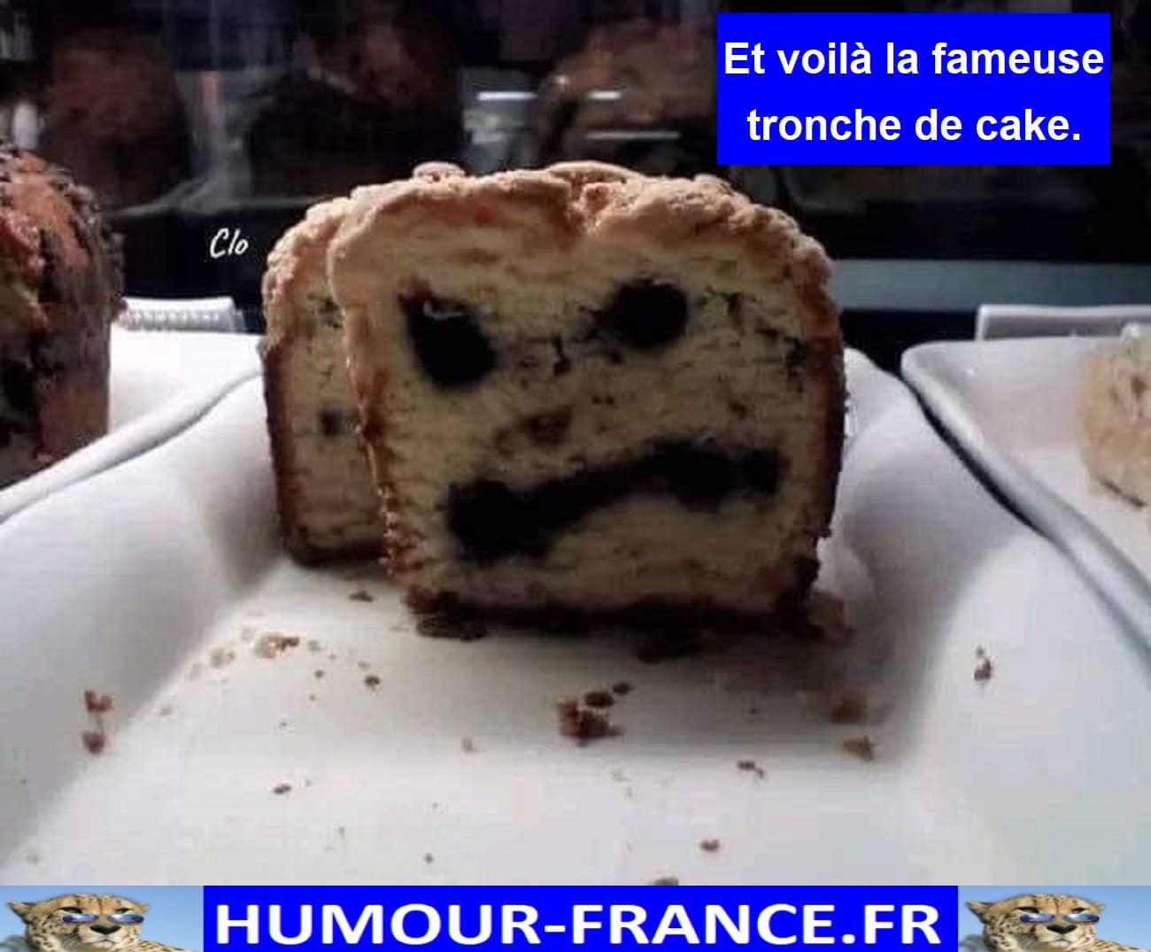 Et voilà la fameuse tronche de cake. - Humour-France.fr