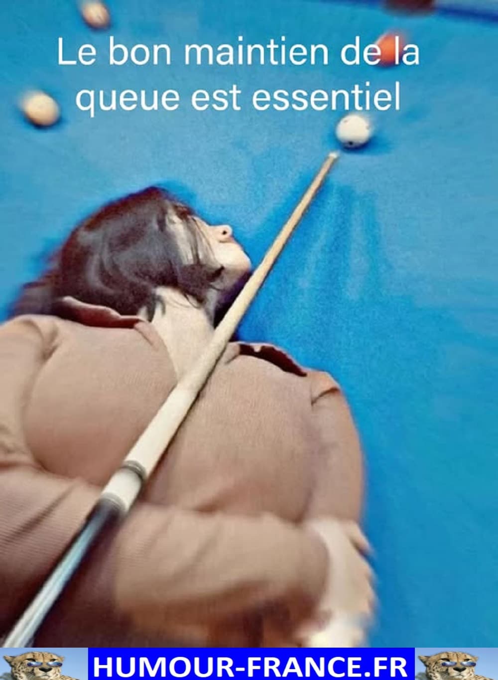 Le bon maintien de la queue est essentiel. - Humour-France.fr