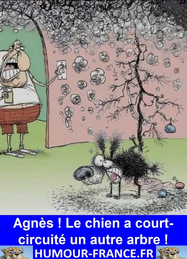 Agnès ! Le chien a court-circuité un autre arbre ! - Humour-France.fr