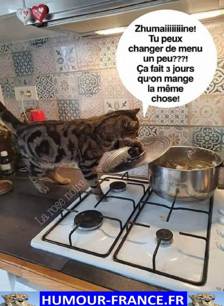 Humaine ! Tu peux changer de menu ! Ça fait 3 jours qu’on mange