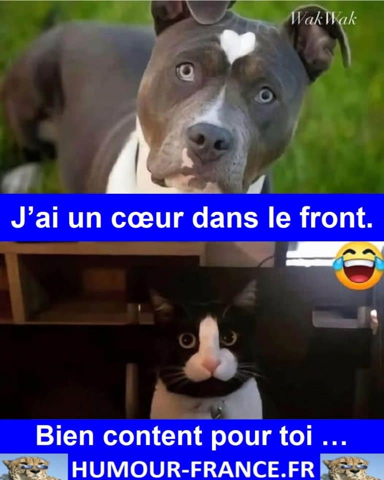J’ai un cœur dans le front. - Humour-France.fr