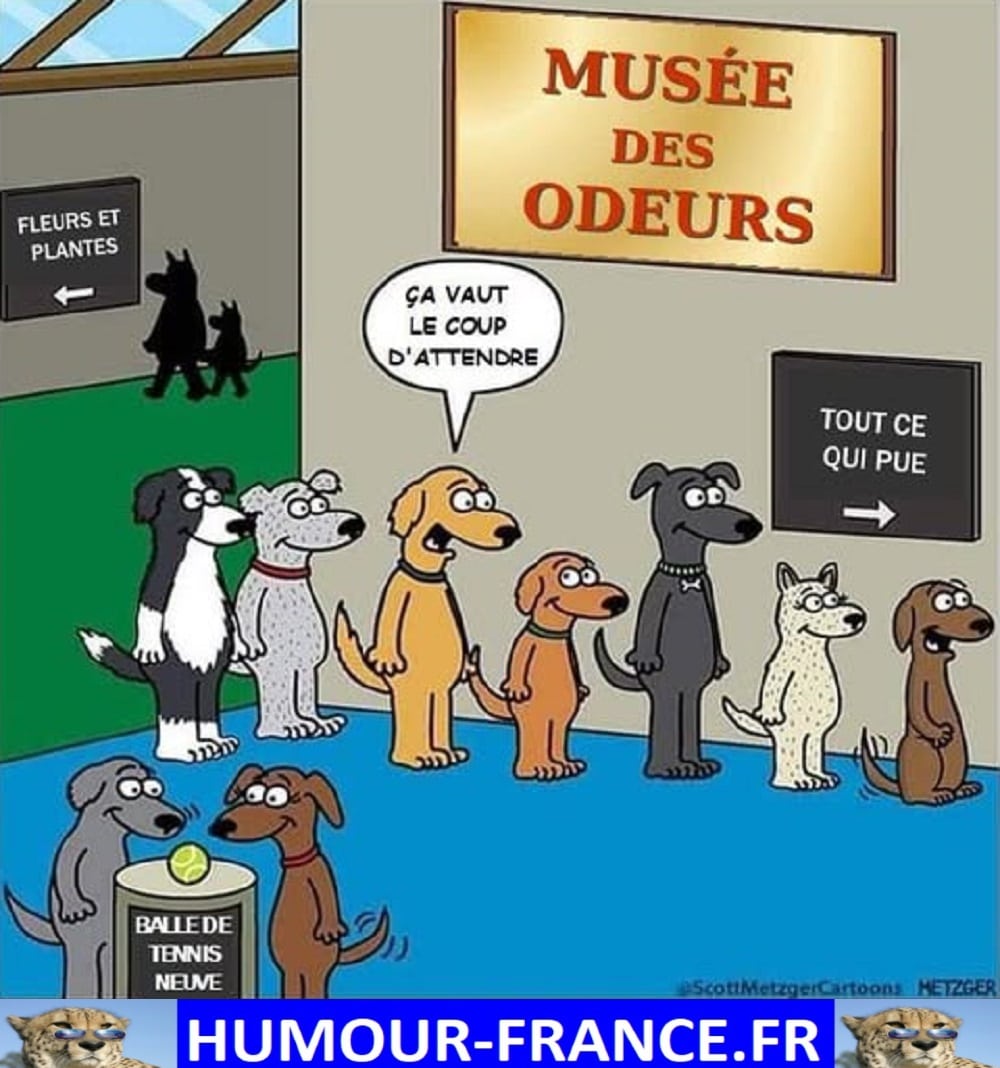 Musée des odeurs. - Humour-France.fr