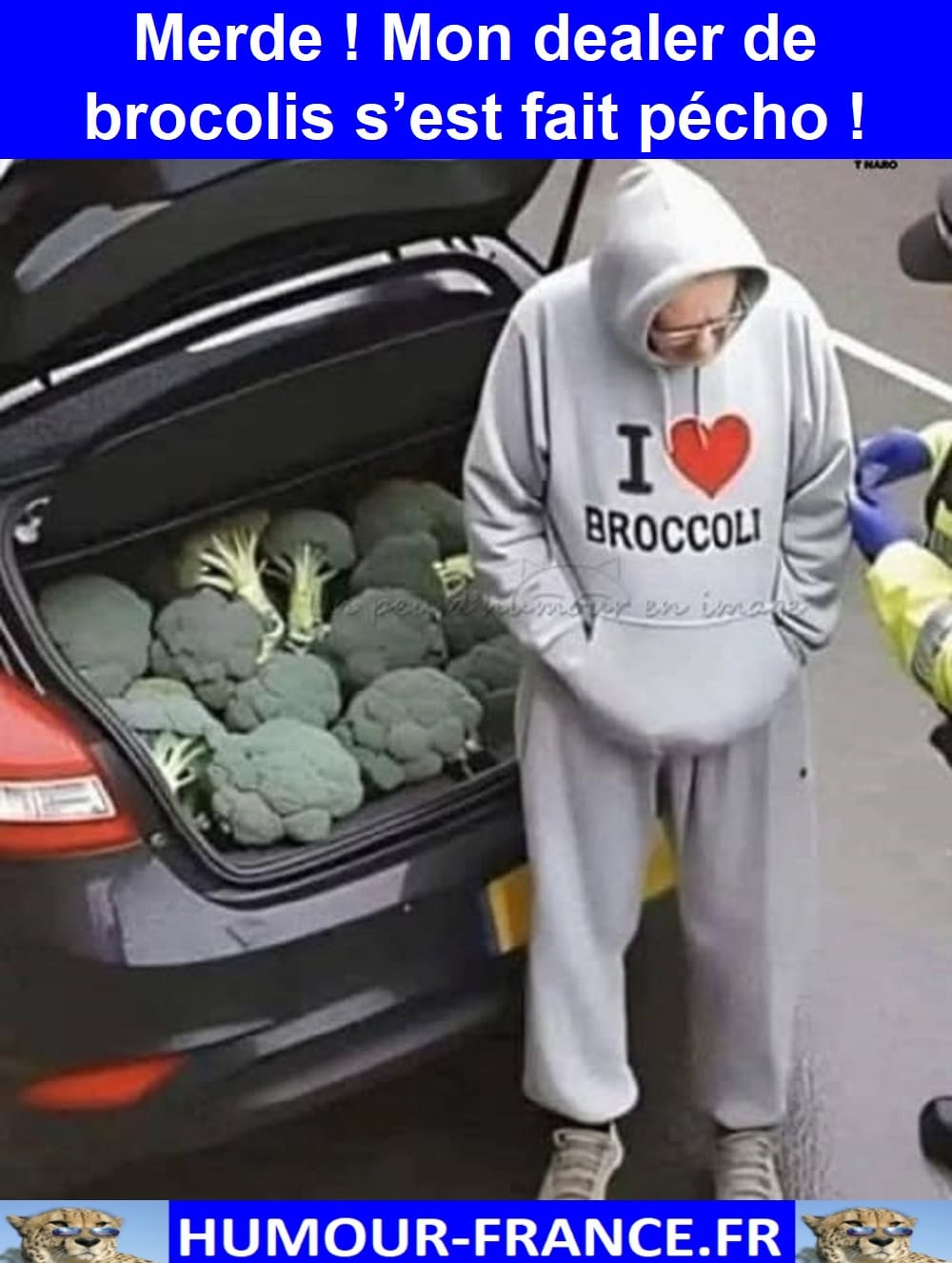 Merde ! Mon dealer de brocolis s’est fait pécho ! - Humour-France.fr