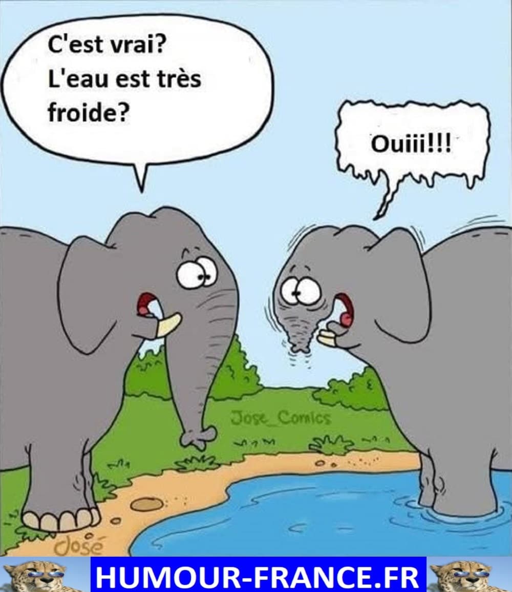 C’est vrai ? L’eau est très froide ? - Humour-France.fr